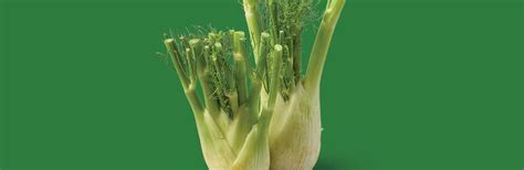 Stalk Talk Spring Vegetable Stars Qfc