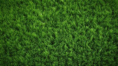 Lush Green Soccer Field Texture Vibrant Grass Background Backgrounds
