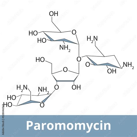Paromomycin An Antimicrobial Used To Treat Parasitic Infections Including Amebiasis Giardiasis