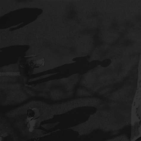 Sladjana Filic Posted On Linkedin