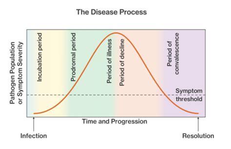 2 Characteristics Of The Stages Of The Process Of Infection
