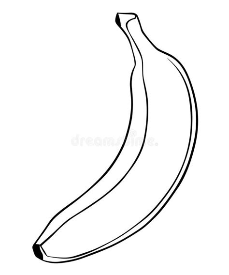 Black And White Line Drawing Of A Banana Stock Illustration