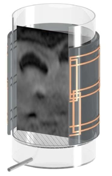 Publications Boyce Lab