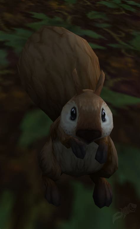 Curious Critter Npc World Of Warcraft