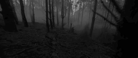 And The Trees Crept In By Dawn Kurtagich Goodreads