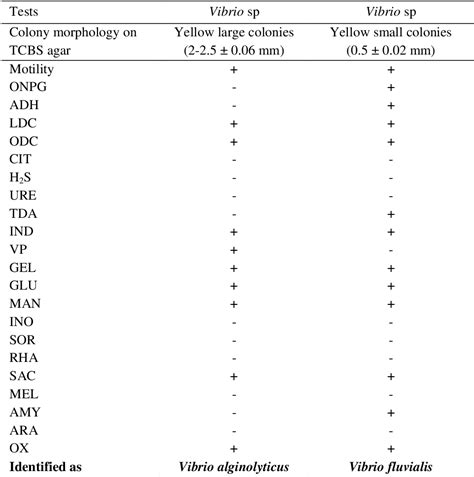 Table 2 From White Faeces Syndrome Caused By Vibrio Alginolyticus And