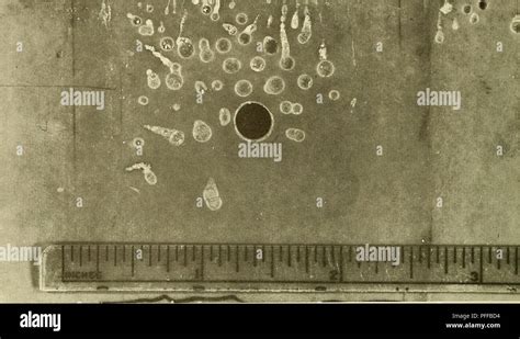 Deep Ocean Biodeterioration Of Materials Materials Marine Sediments Figure 20 Phenolic