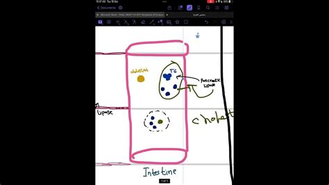 Small Grouphyperlipidemiapharmacology Module Youtube