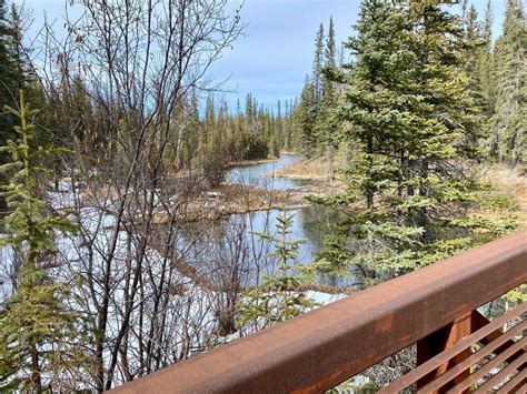 Griffith Woods Park Hike In Calgary