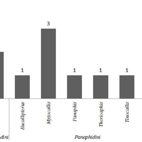 Trophic Structure Of Aphids In The Botanic Garden Of The Jagiellonian