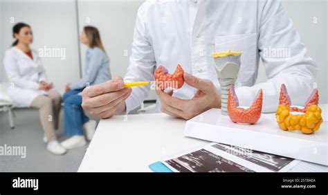 Endocrinologist Checking Thyroid Gland Of Woman Patient By Palpation