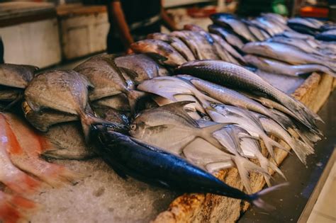 Premium Photo Various Fish Stall At The Fish Market