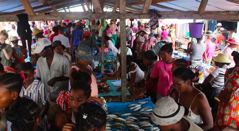 Arms Restore On Linkedin Happy Fishery Friday Part 2 Small Scale