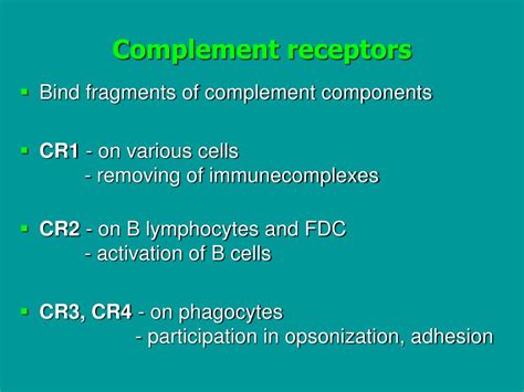 Ppt Complement Powerpoint Presentation Free Download Id6304128