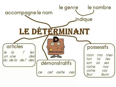 Grammaire Determinant