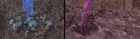 Thistle And Gourd Blossoms Esp At Fallout 76 Nexus Mods And Community