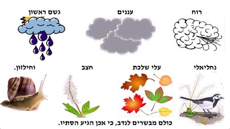 סימני סתיו נדב מחפש את הסתיו Youtube