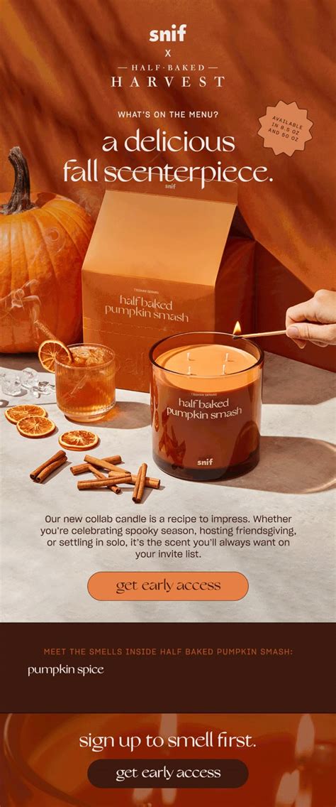 Sarahs Portfolio Snif X Half Baked Harvest Collab Half Baked Pumpkin
