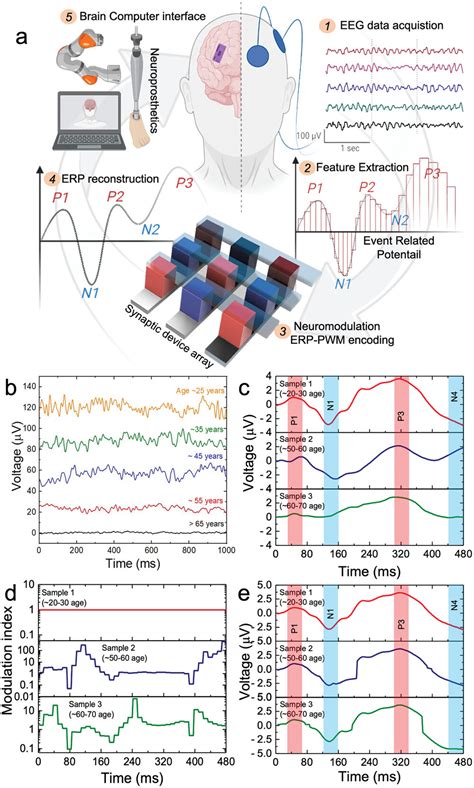 Topological Quantum Switching Enabled Neuroelectronic Synaptic