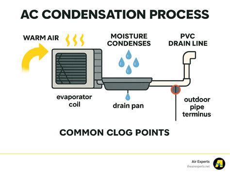 Ac Drain Line Clogged 3 Easy Fixes