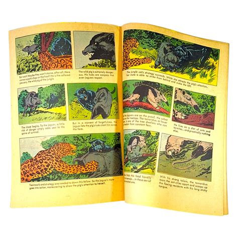 Walt Disneys Jungle Cat Four 1136 Comic Book Vintage Etsy