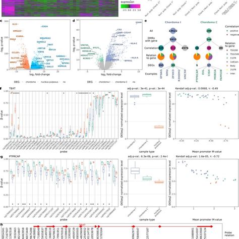 Results From Epic Dna Methylation Arrays A Heatmap Of Scaled