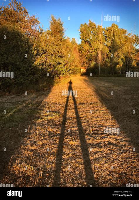 The Shadow Of A Migrating Bird Casts Over A Landscape At A National Wildlife Refuge
