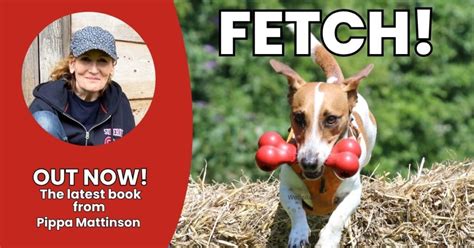 Small Labrador Whats Possible Whats Normal And Whats Healthy