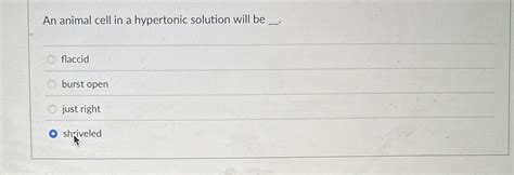 Solved An Animal Cell In A Hypertonic Solution Will