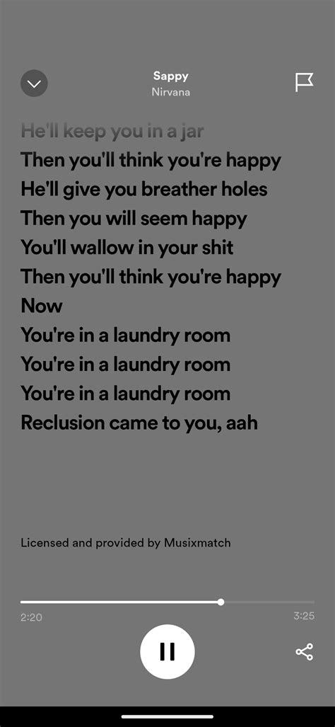 Sappy Lyrics Rnirvana