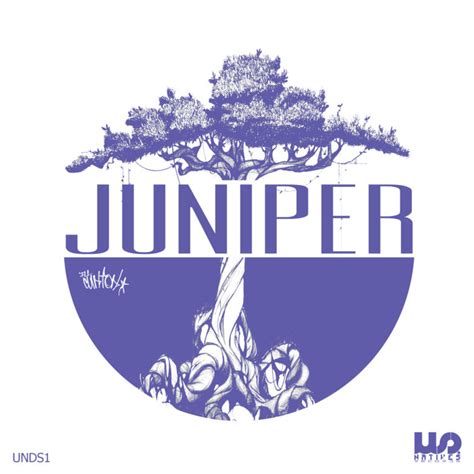 Juniper Ep Ill Clinton Us Natives Records