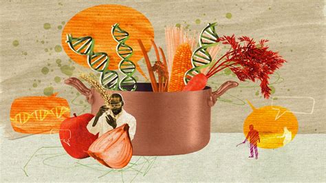 Pros And Cons Of Genetically Modified Organisms The Week