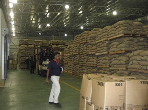 Pest Control Silo Fumigation Stack Fumigation Tunnel Fumigation