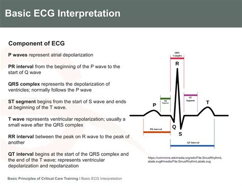 Module 36 Basic Ecg Interpretation Pptx