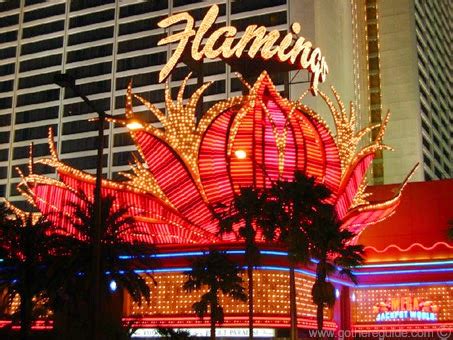 Cabaret Flamingo Las Vegas X Burlesque Show Photos Wallpapers The