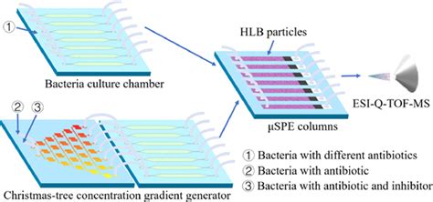 An Integrated Microfluidic Chip Mass Spectrometry System For Rapid
