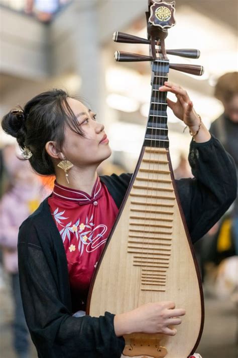 Chinese Lute Instrument