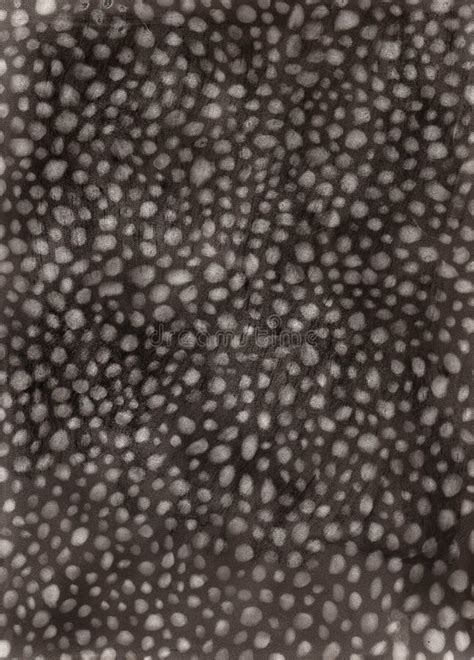 Black And White Weight Drawing Background Stock Illustration