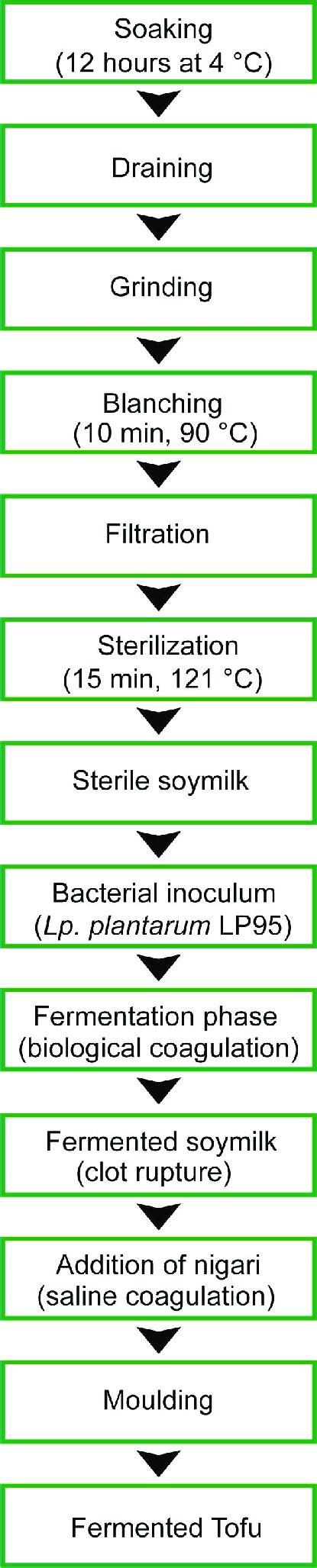Flow Chart Of Fermented Tofu Production Download Scientific Diagram