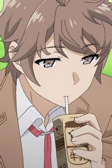 Sakuta Azusagawa Rascal Does Not Dream Of Bunny Girl Senpai Anibasenet