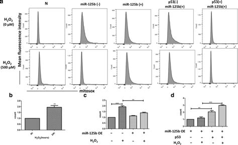 Production Of Ros Cells Were Stained With Mitosox To Detect Ros Via