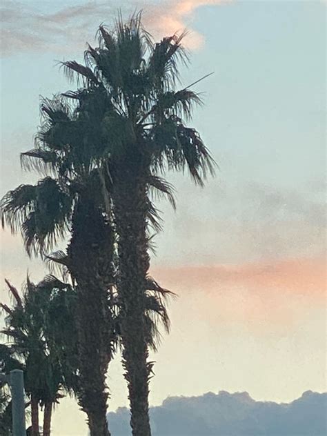 Ali Schmidt On Linkedin Laquintaresort