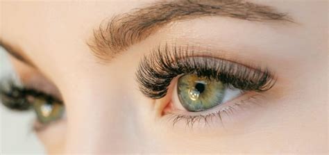 Pestañas Híbridas Todo Lo Que Necesitas Saber Lash Masterclass