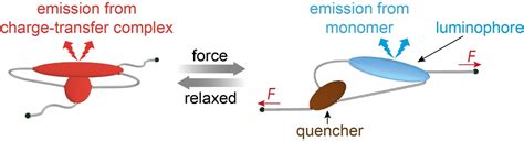 Excited State Charge‐transfer Complexes Enable Fluorescence Color