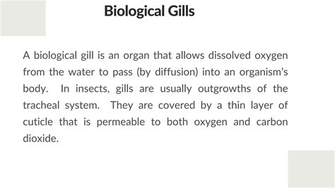 Respirationinaquaticinsects Pdf