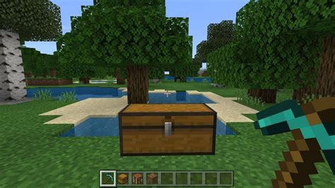 Types Of Minecraft Chests At Carly Decosta Blog