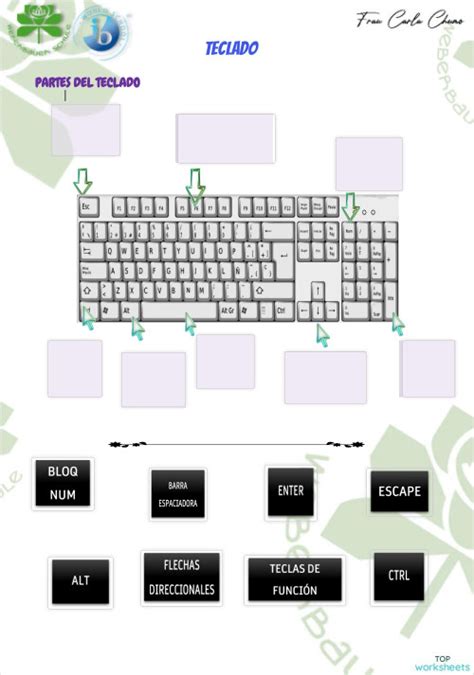 Teclado Partes Ficha Interactiva Topworksheets