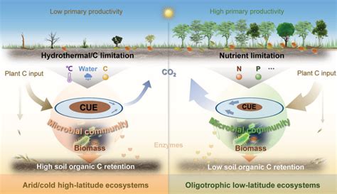 Global Patterns Of Microbial Carbon Use Efficiency Are Modulated By The