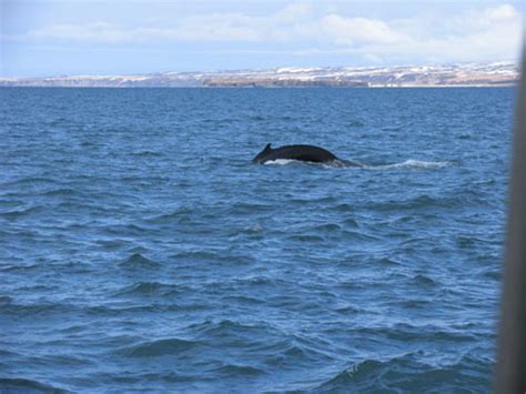 Northern Encounter By Clive Tully A British Travel Writer