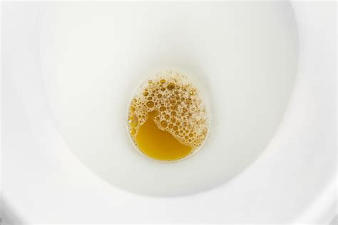 Urin Atau Kencing Dan Gelembung Di Toilet Flush Di Kamar Kecil Foto
